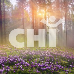 Home | CHI Institute Formerly Sound Vitality