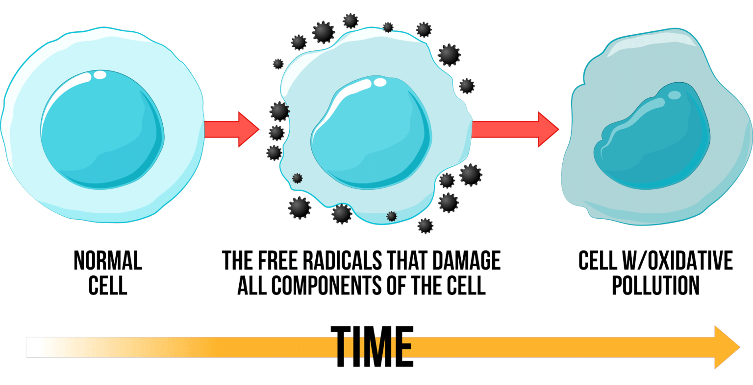 Our Scientific Scoop on Oxidative Pollution - CHI Institute