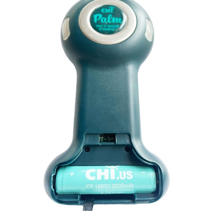 CHI Palm Battery Replacement - CHI Institute