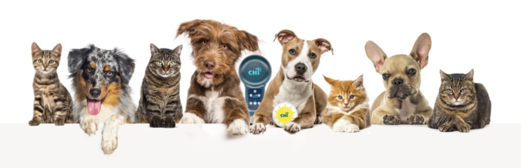 CHI Wellness for Animals - CHI Institute
