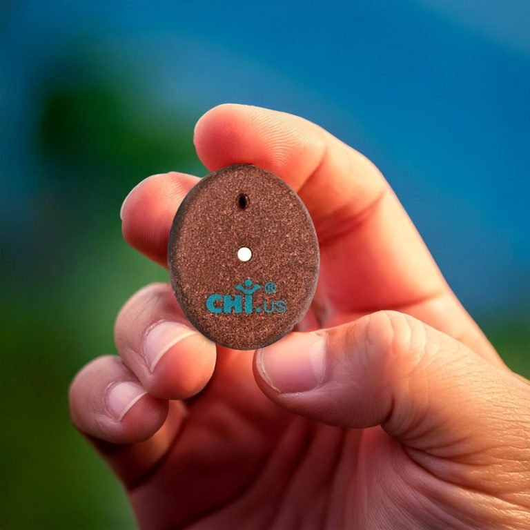 CHI Stone - CHI Institute