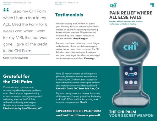 2025 CHI Palm Tri-Fold Brochure - CHI Institute